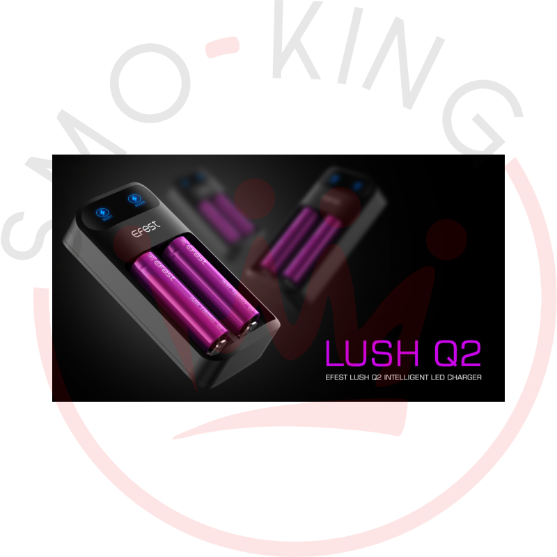 Efest Lush Q2 Charger | Smo-Kingshop.it