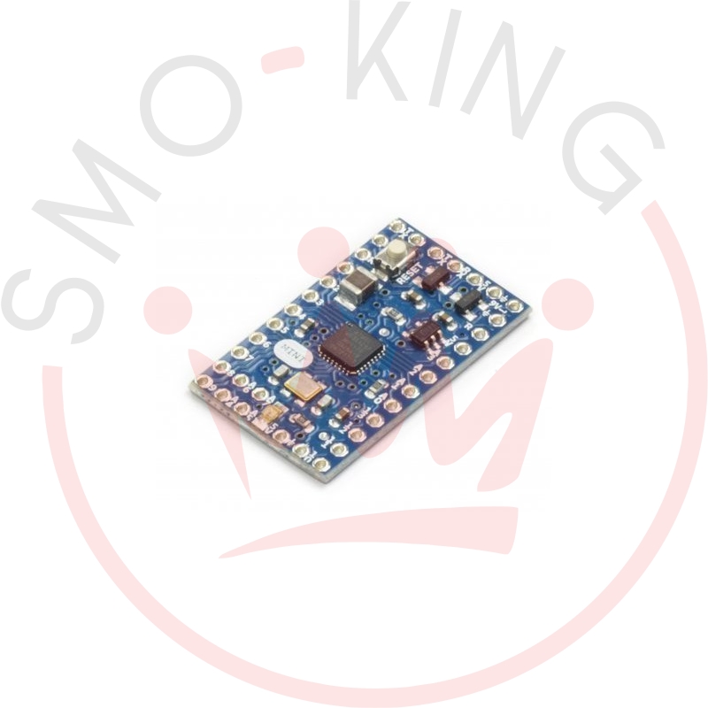 Arduino Mini 05 Board smo-kingshop.it