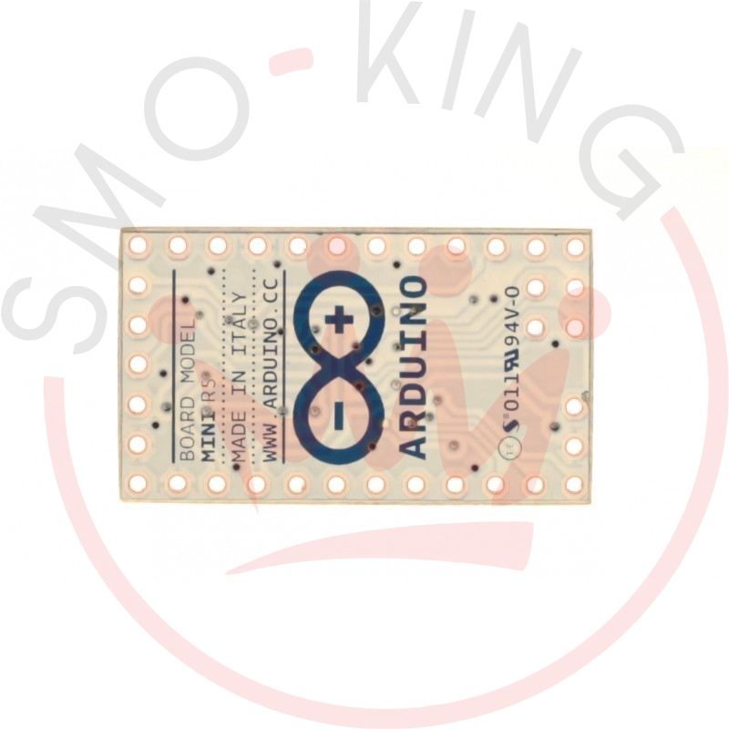 Arduino Mini 05 Board smo-kingshop.it